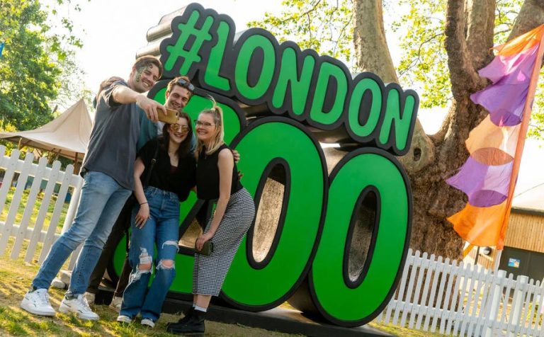 Exploring London Zoo Evening: A Wildlife Adventure