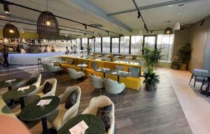 Raise Your Glass: 8 Best Bars in Peckham Await for You